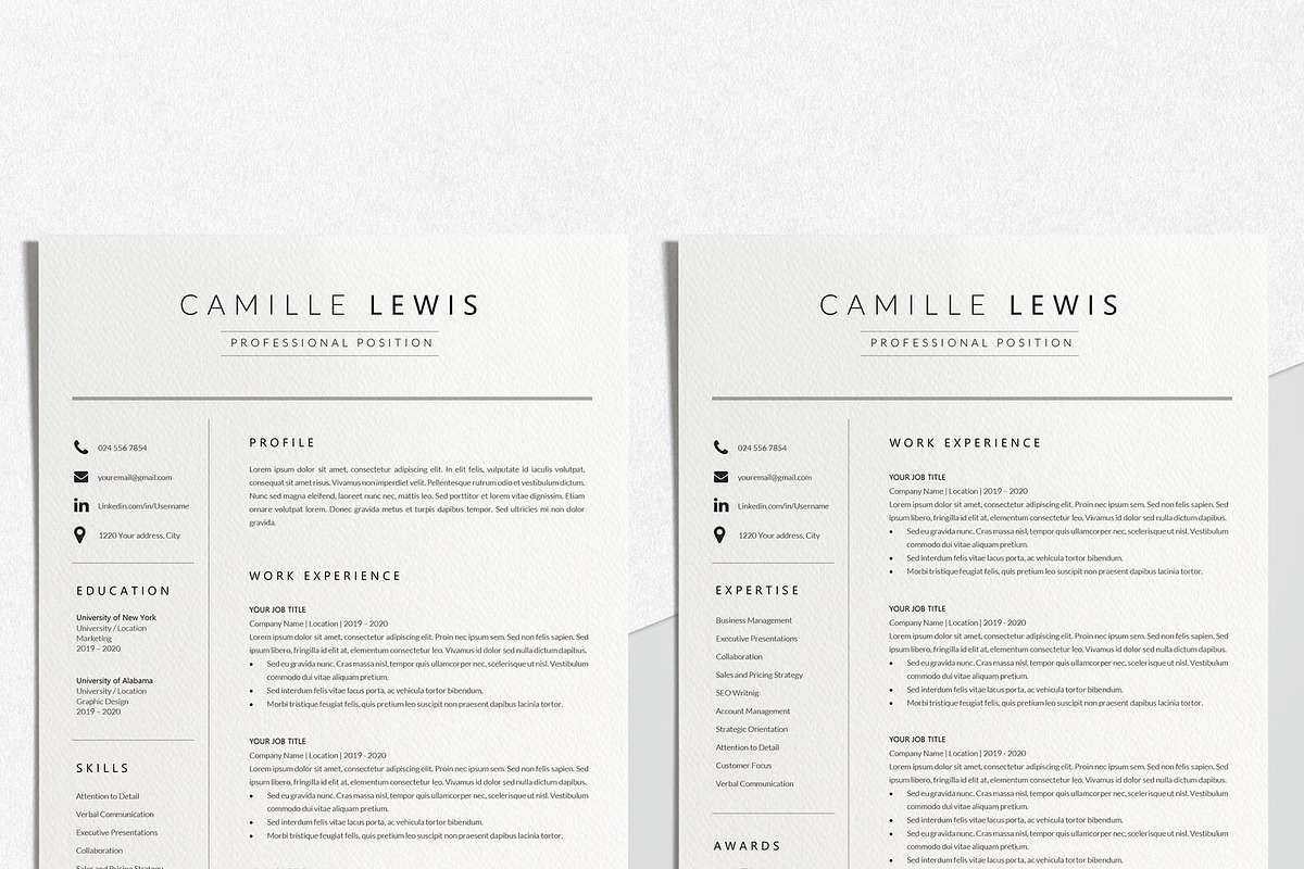 Professional Resume Design Template, a Resume Template by LucaTheme