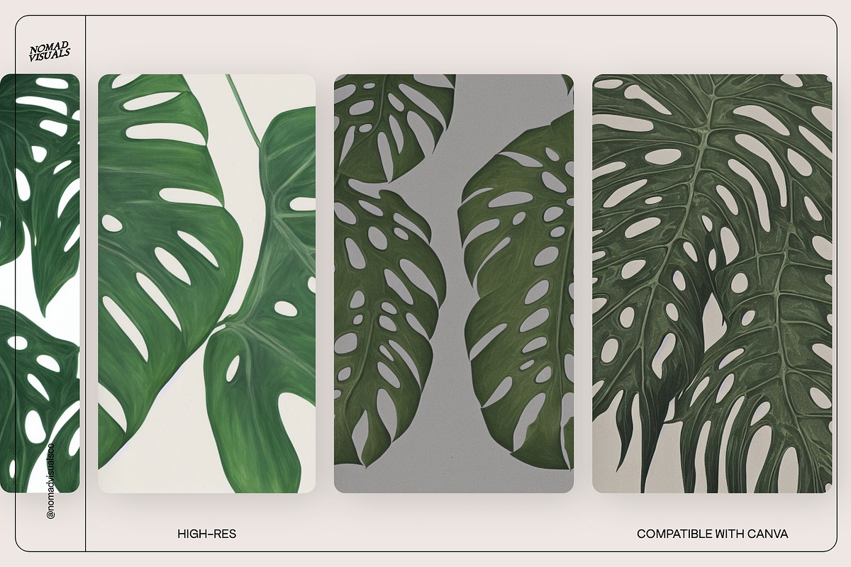 Monstera Tropical Collection, a Texture Graphic by Nomad Visuals