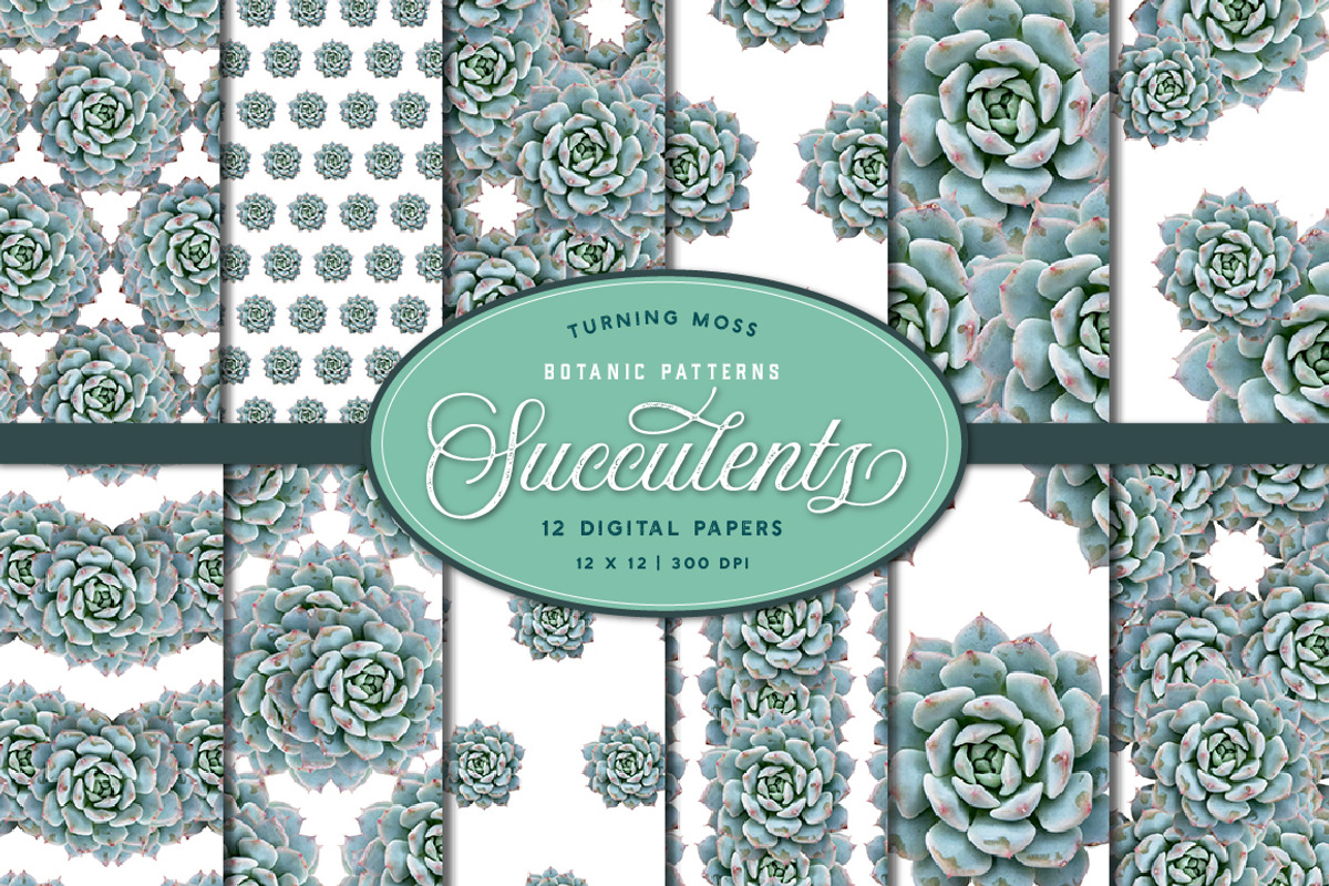 Succulent Patterns - Digital Paper, a Pattern Graphic by Turning Moss