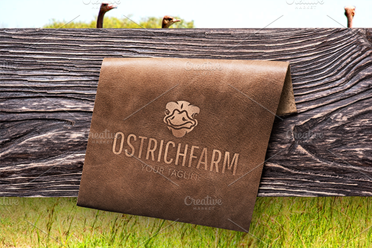 Ostrich Farm, a Branding & Logo Template by Steinar Logo