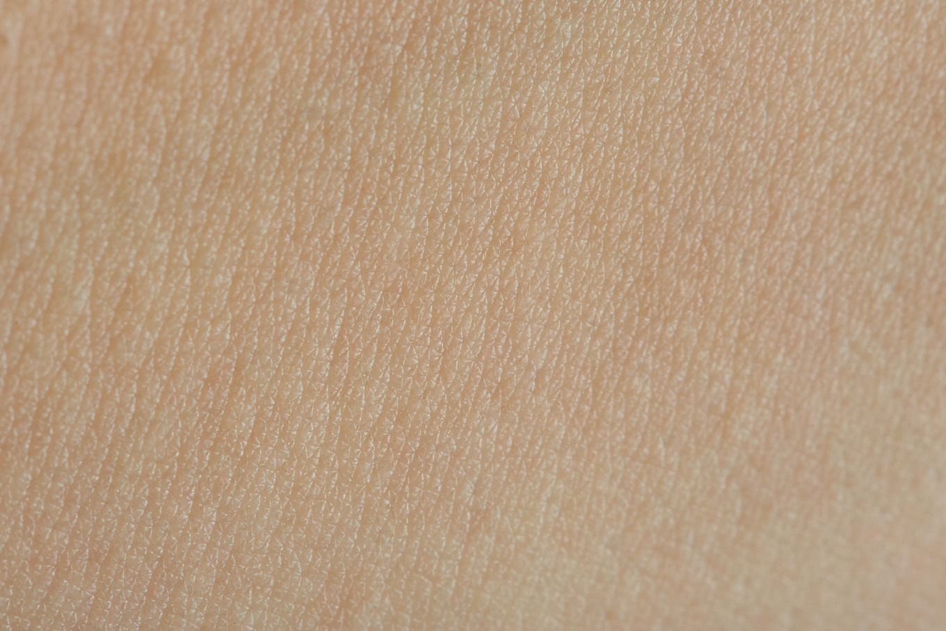 Texture of skin, an Abstract Photo by PixieMe