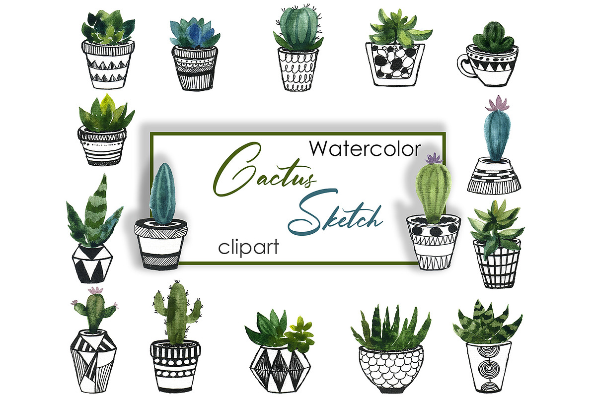 Floral clipart Watercolor cactus png, an Illustration by ...
