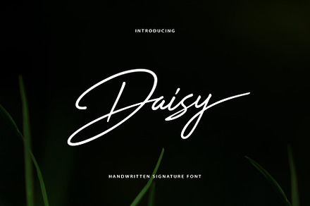 Arielle Signature - Handwritten Font | Handwriting Fonts ~ Creative Market