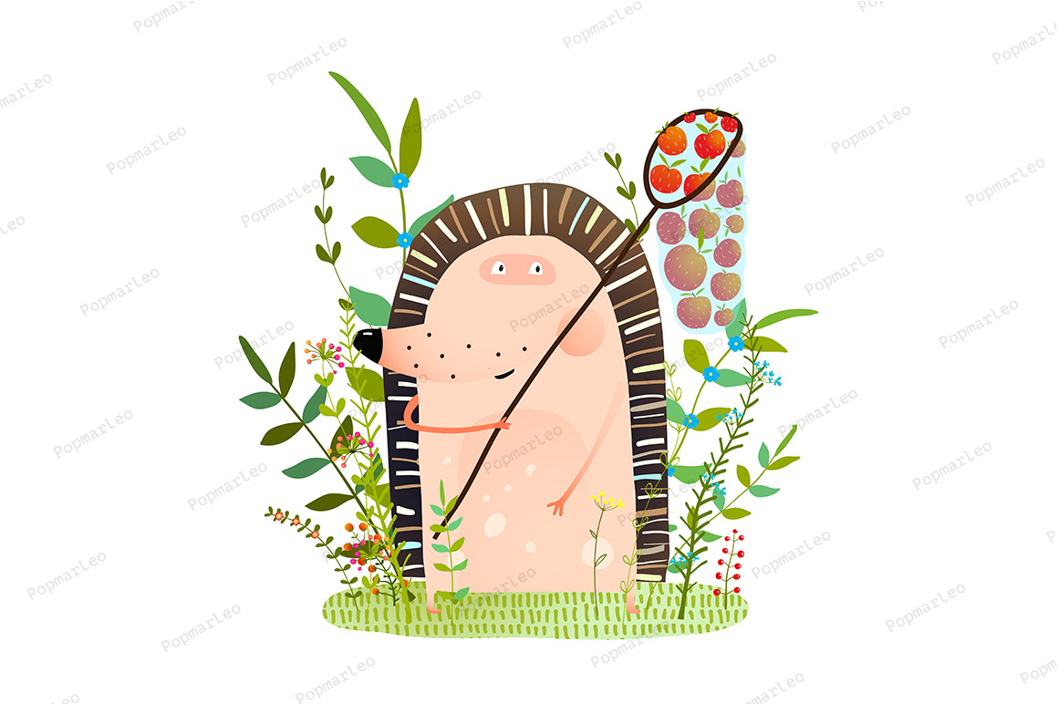 Hedgehog in Forest with Apple in Net, an Animal Illustration by ...