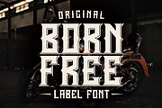 Born Free Typeface, a Symbol Font by Vozzy Fonts & Graphocs