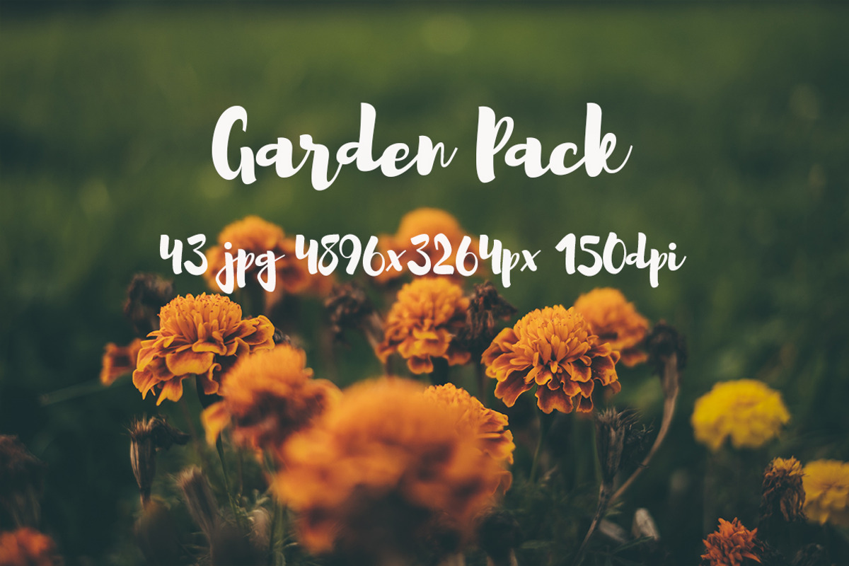 Garden Pack, a Templates & Theme by ApertureVintage
