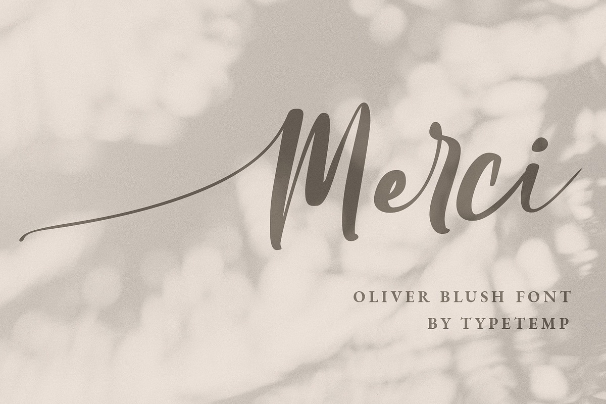 Oliver Blush Modern Calligraphy, a Script Font by Typetemp Studio