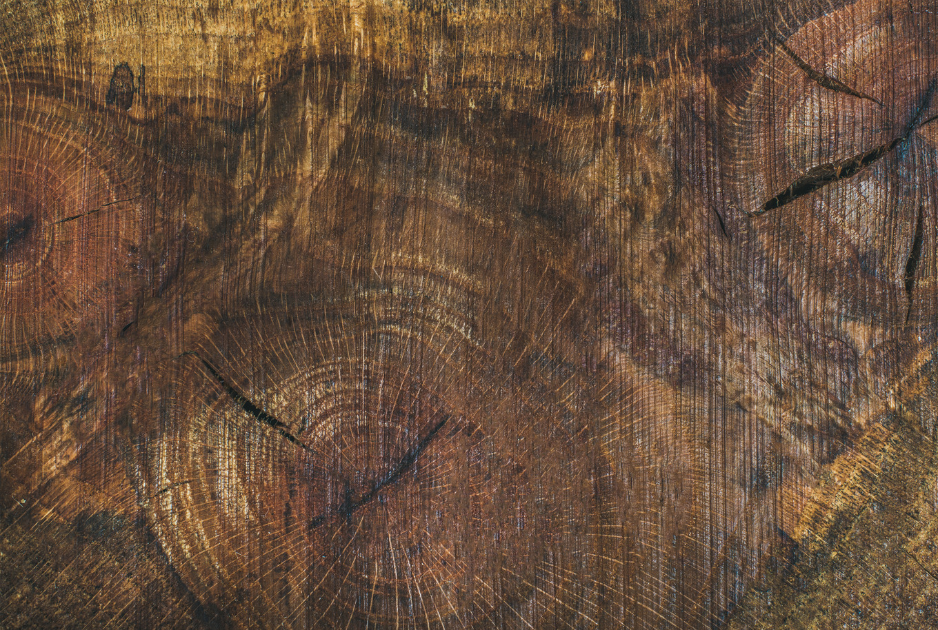 Texture saw cut of the wood logs | Textures ~ Creative Market