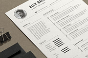 Alex Resume, a Resume Template by Estartshop