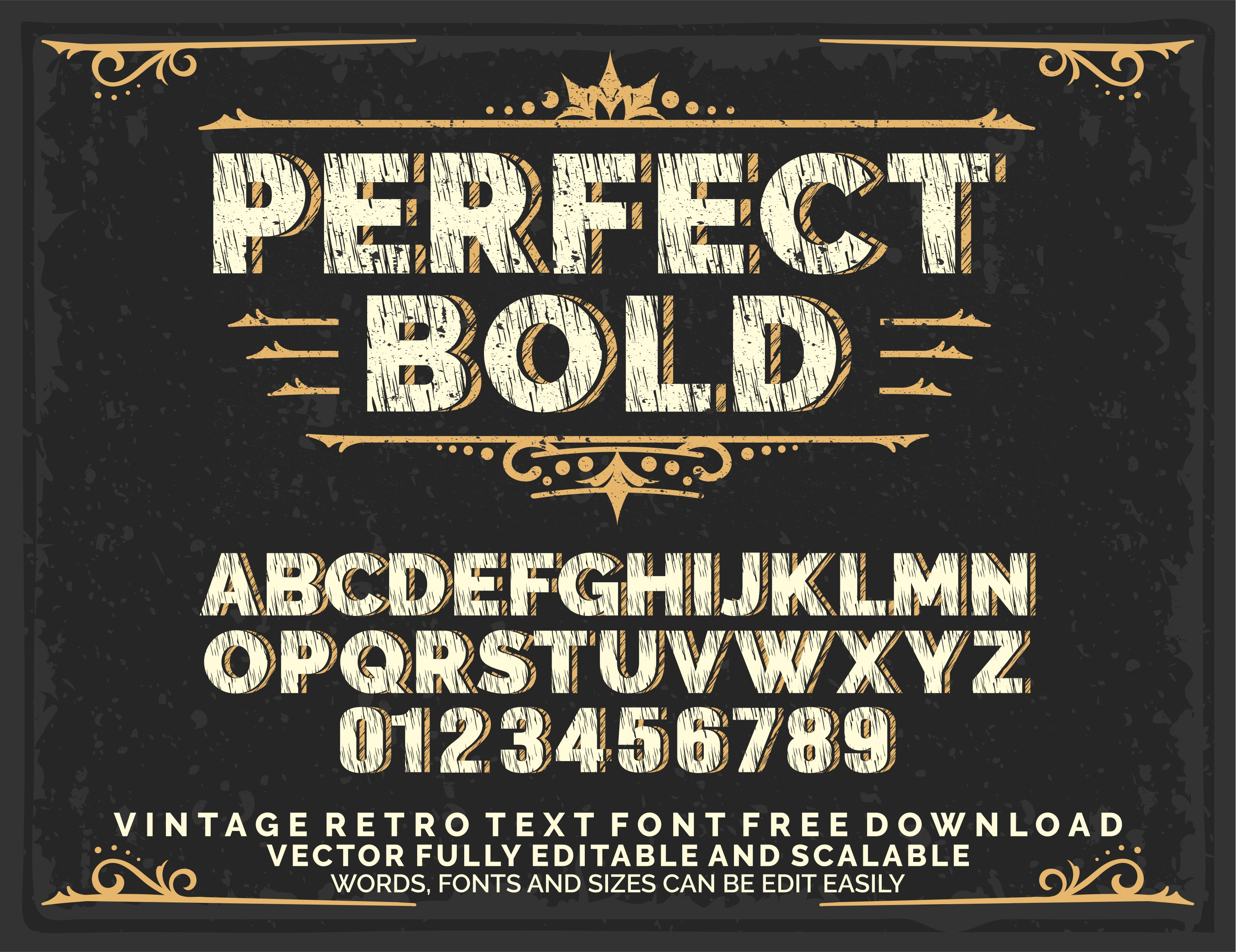vintage retro perfect bold font, a Decorative Illustration by Wooden Grafis