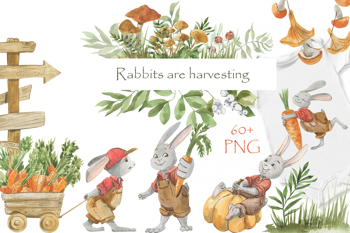 Rabbits are harvesting.