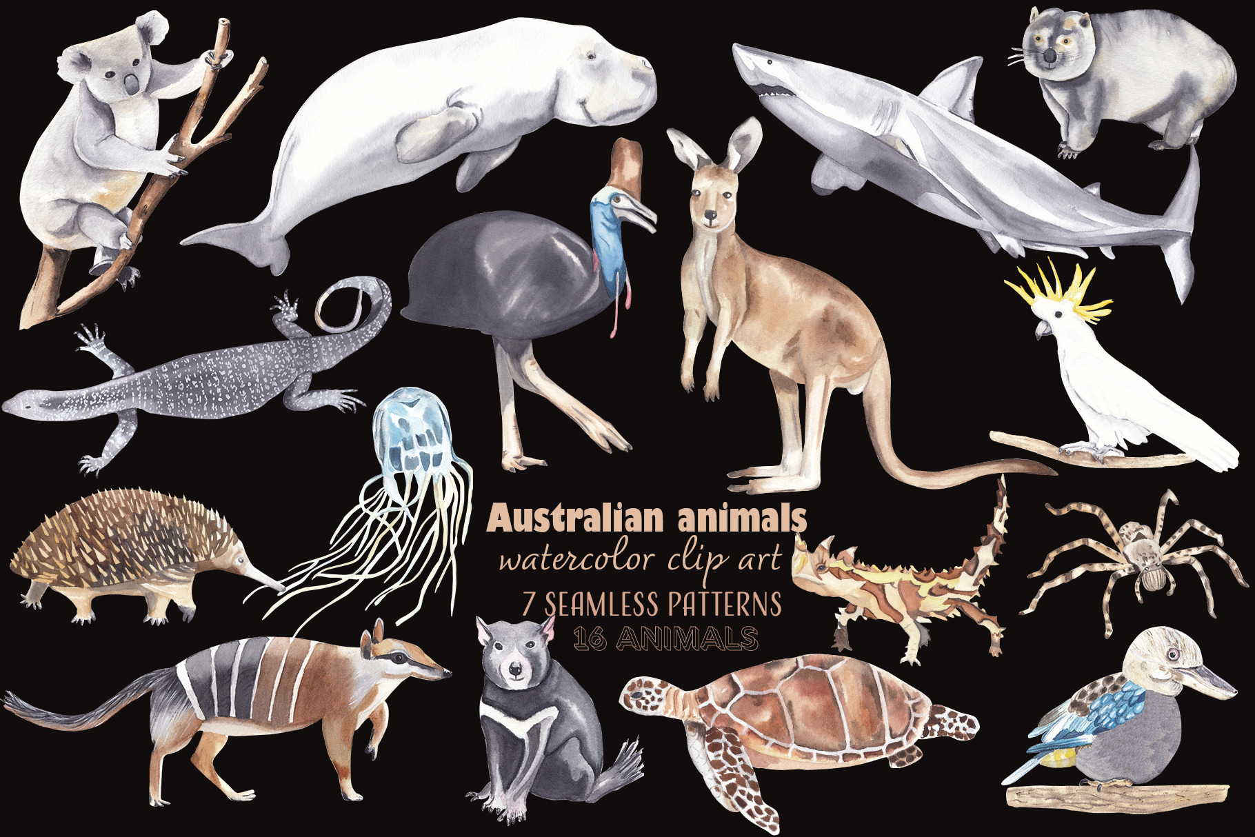 Australian Animals clipart & pattern, an Animal Illustration by Visual ...