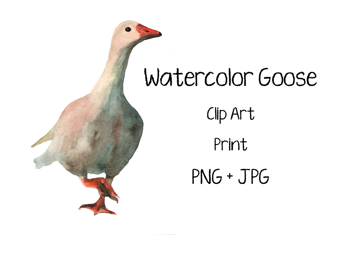 Watercolor Goose - Clip Art - Print, an Object Graphic by Tati Bordiu