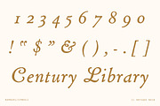 Handcrafted Vintage Script Font, a Script Font by Century Library