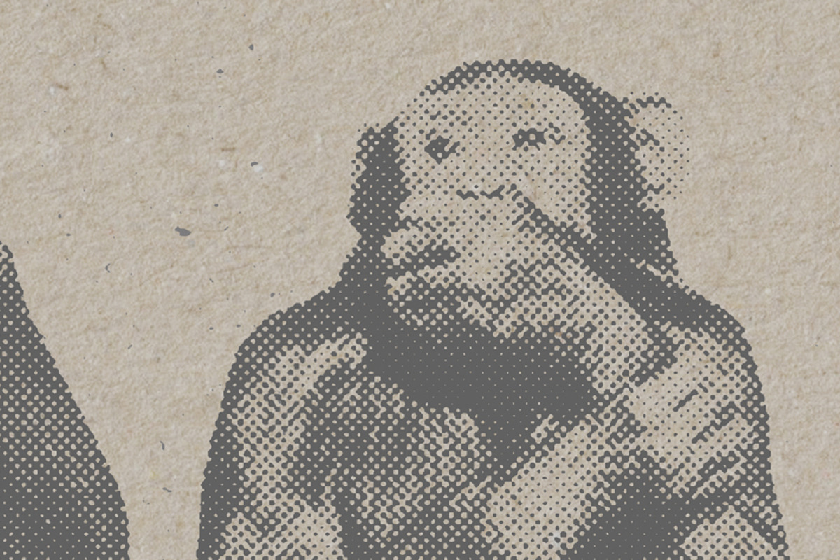 Wise Monkeys Vector Illustration, a Texture Illustration by Offset ...