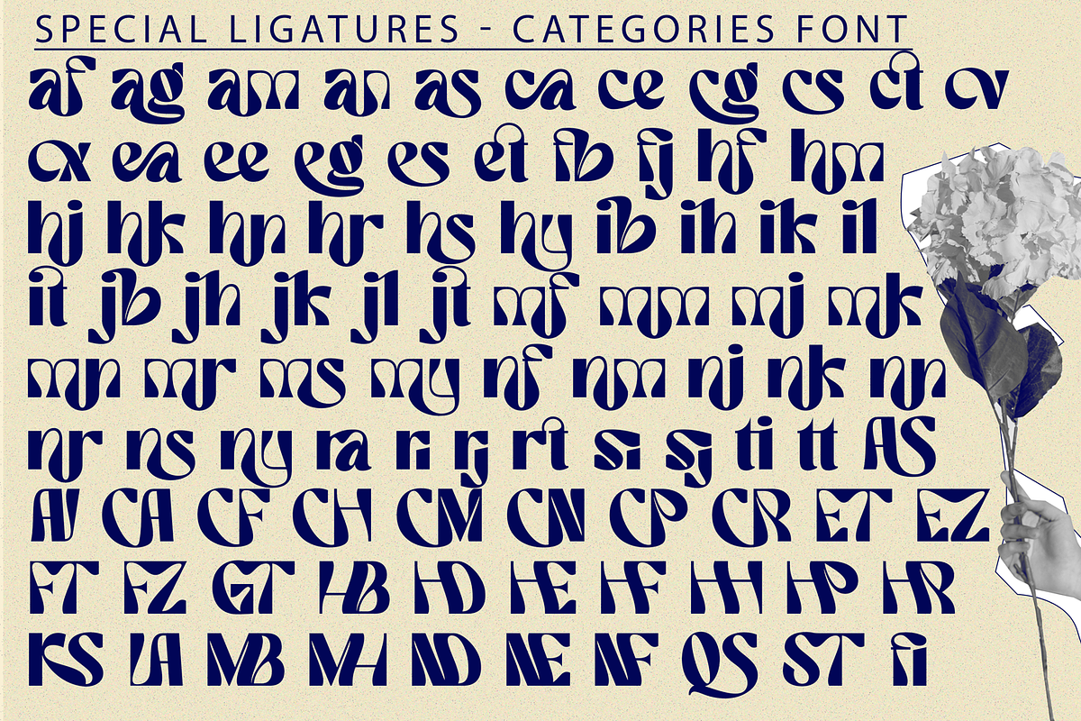Categories Elegant Font, a Sans Serif Font by 177Studio