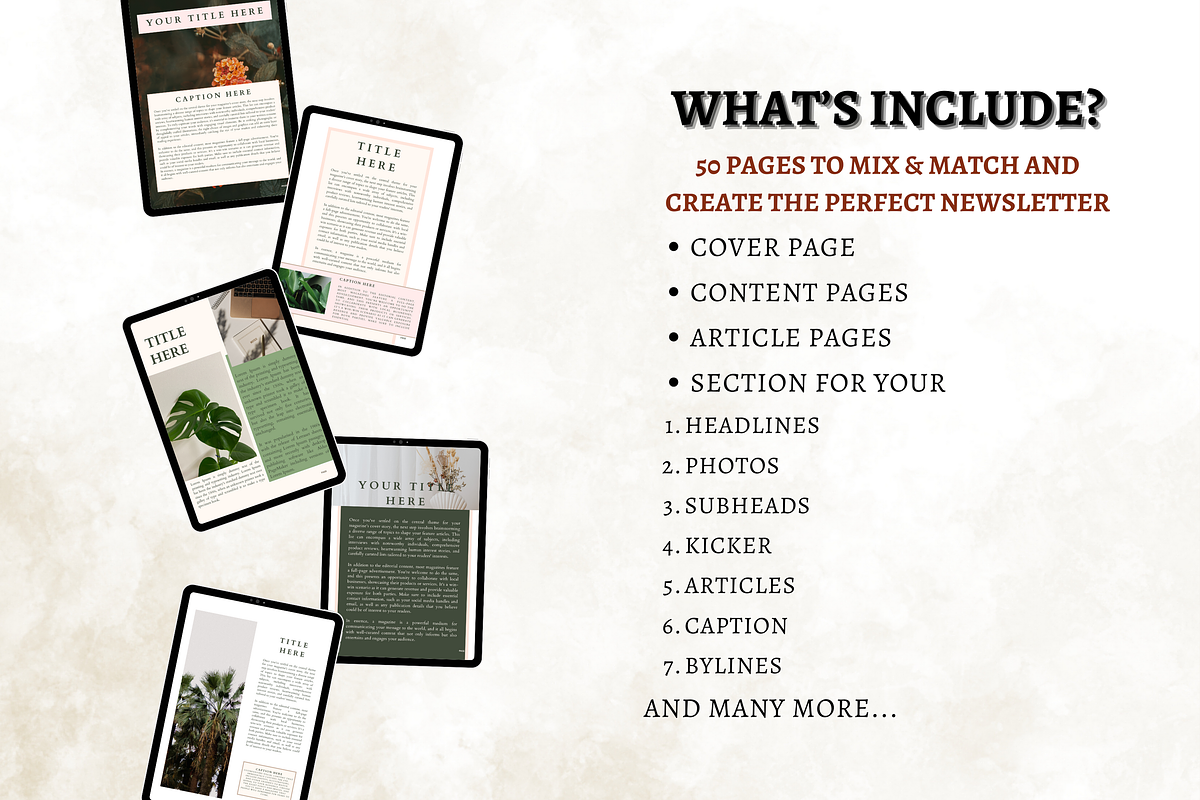 Newsletter Coaching Template, an Email Template by Digital By Nikoleta