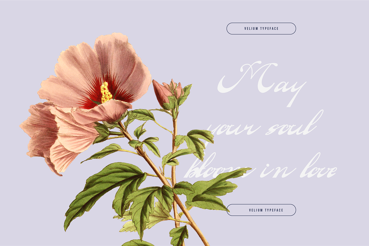 Velium - A Handwritten Script Font, a Handwritten Font by Hanstype.com
