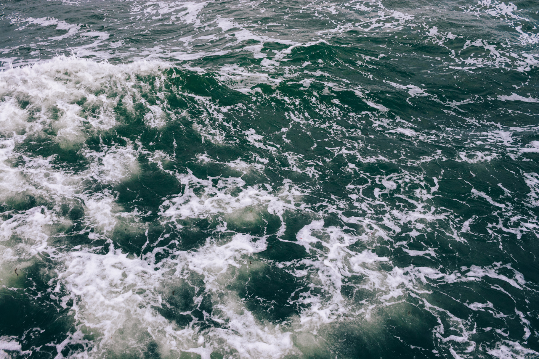 Top view of sea waves and green wate, a Nature Photo by progressman
