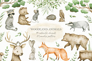 Watercolor woodland animals set