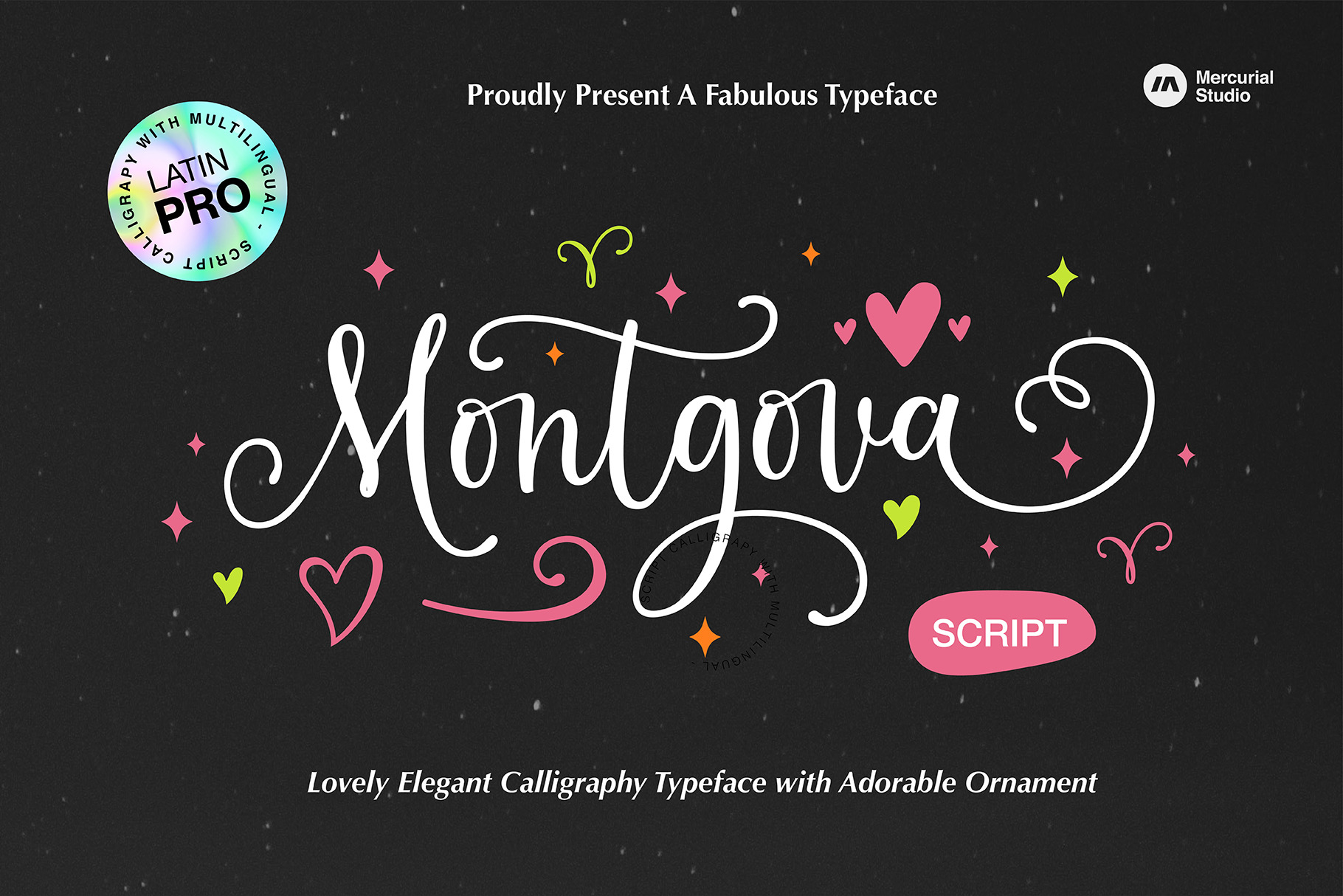Montgova Script, a Script Font by MERCURIAL
