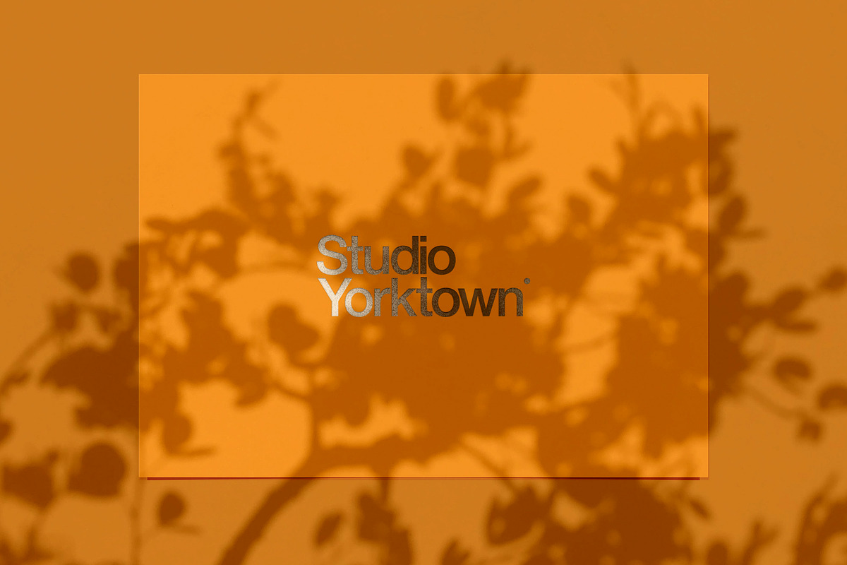 Kage - Botanical Shadow Overlays, a Texture Graphic by Studio Yorktown