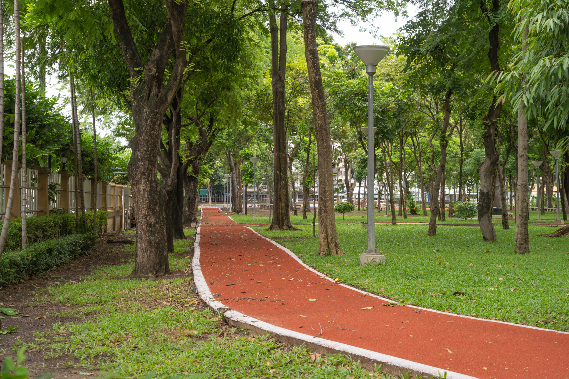 Rubber running track lane in public park at urban city. Nature t, a ...