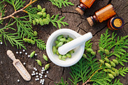 Homeopathy pills and Thuja twigs, a Health & Medical Photo by chamillewhite