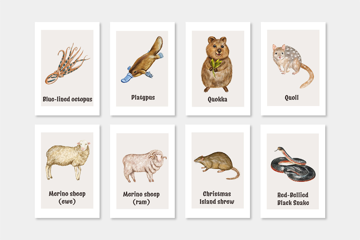 AUSTRALIAN ANIMALS printable cards