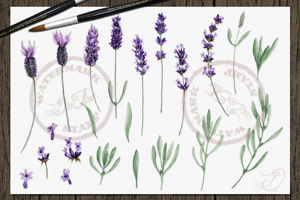 Vintage Lavender Watercolor Clip Art, a Decorative Illustration by DioFlow