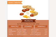 Peanuts Nutritional Facts | Food Illustrations ~ Creative Market