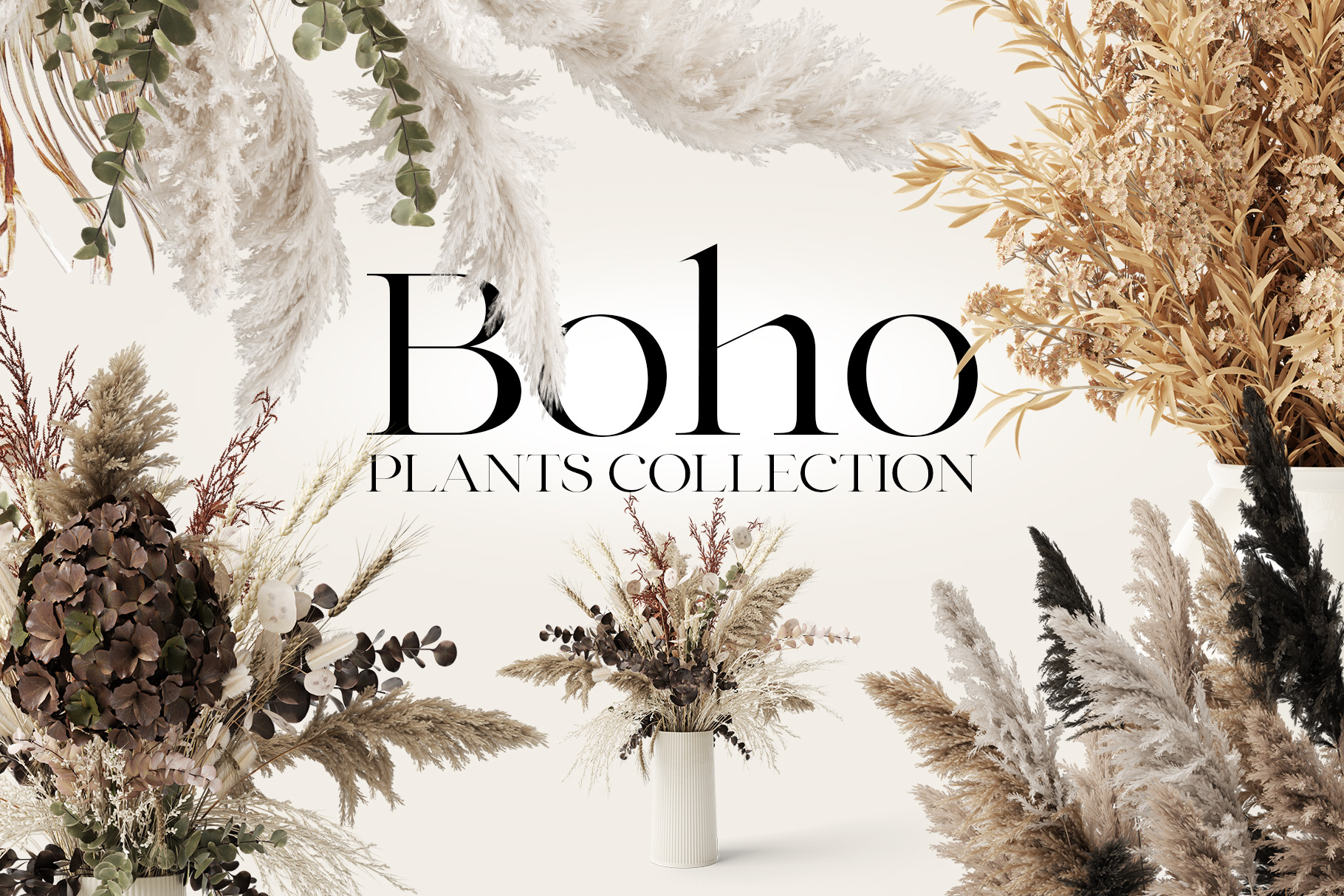 Boho Isolated Plant Collection