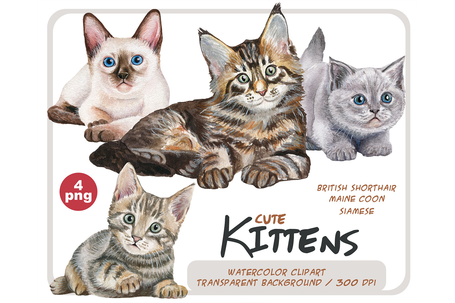 Watercolor kittens clipart set, an Illustration by ArtfulStudio
