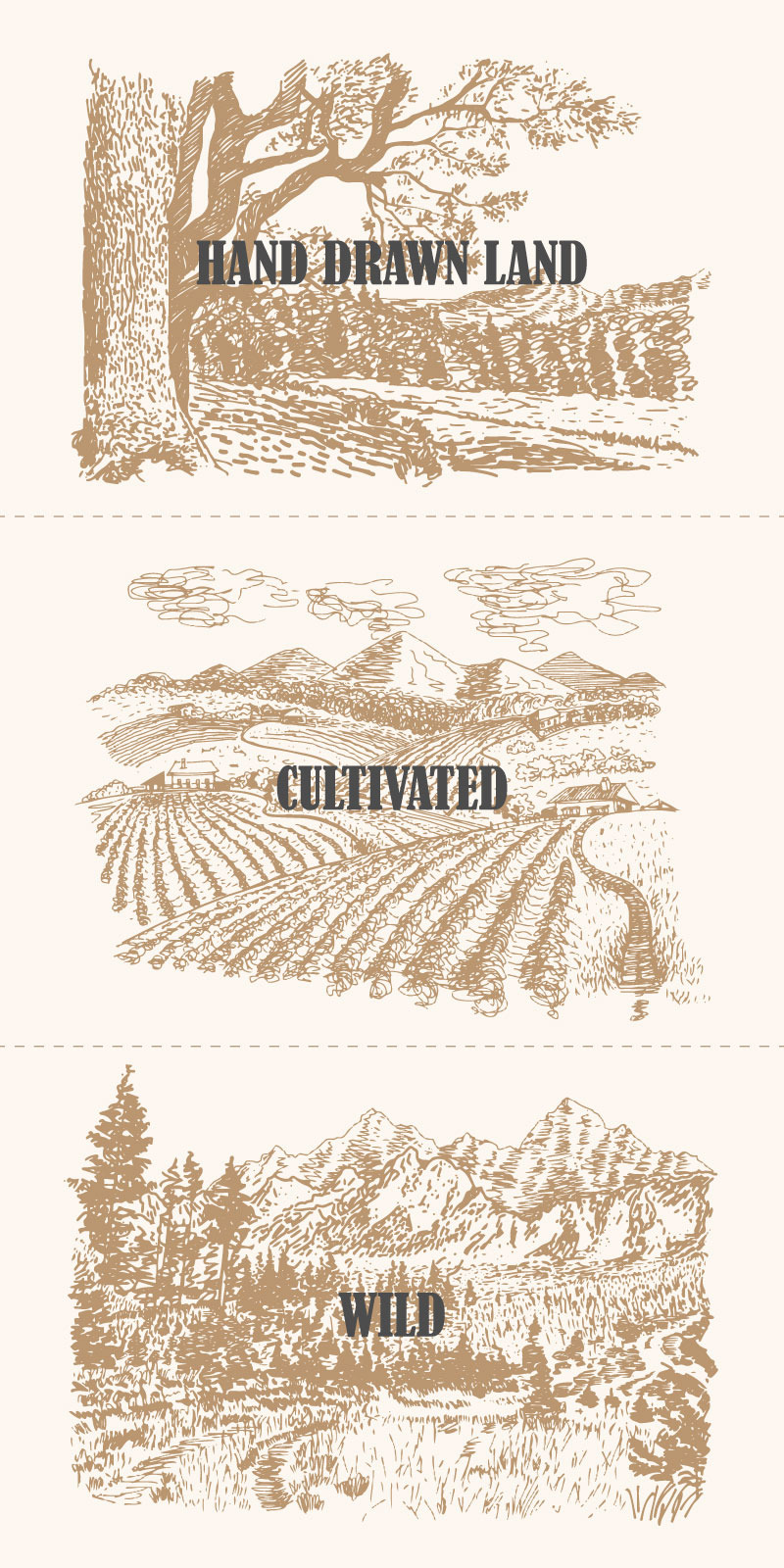 Hand drawn land vector set, an Illustration by Digithings | Creative Market