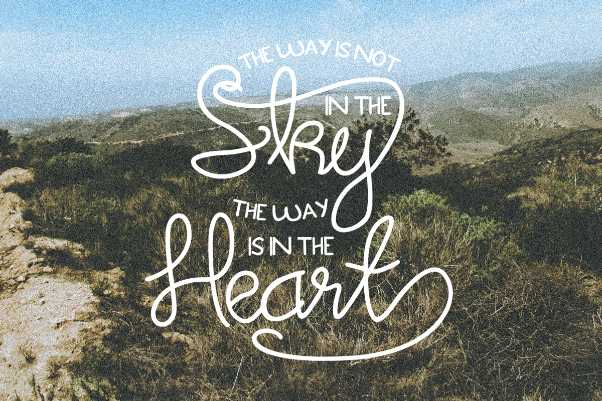 Dignity Cursive + Bonus, a Script Font by TSV Creative