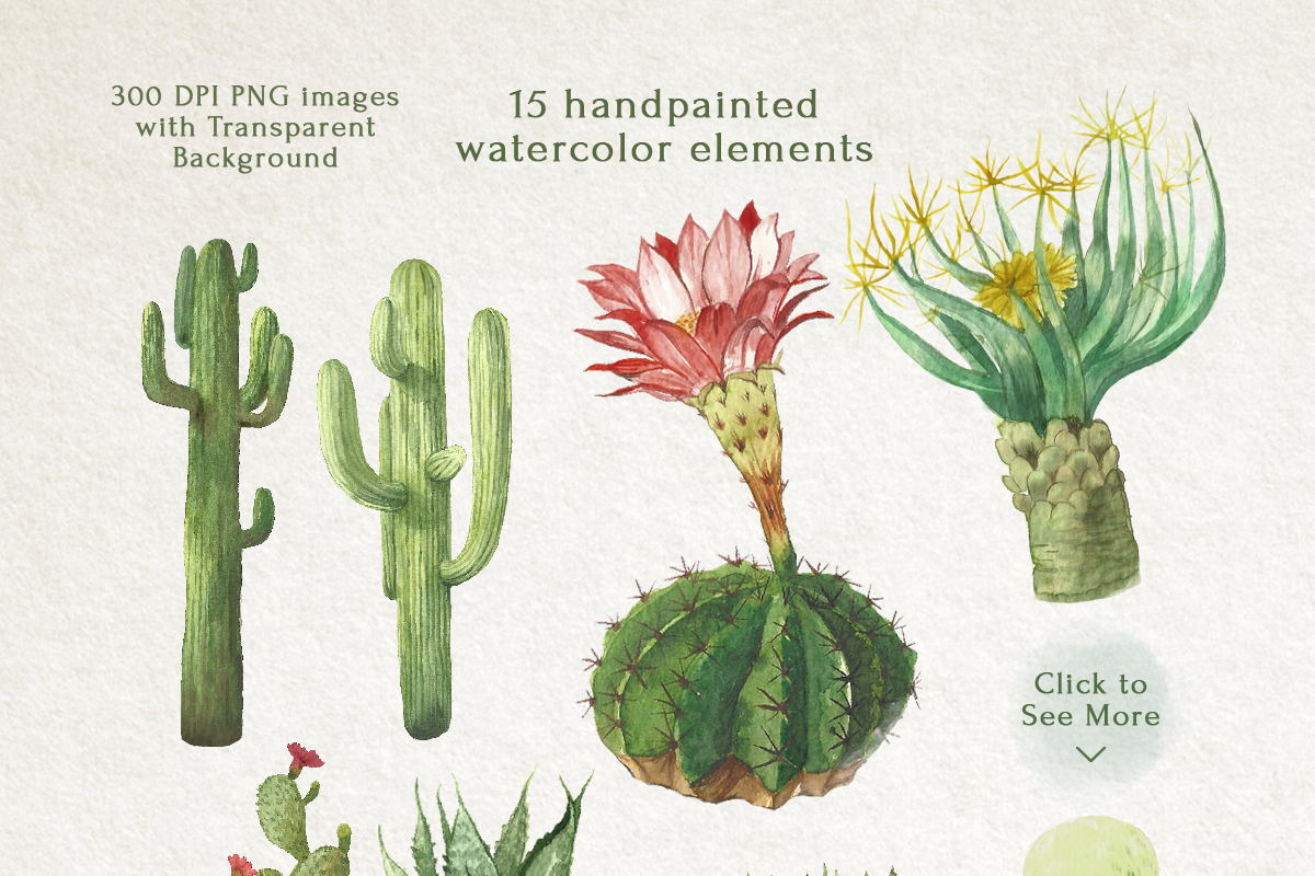Cactus watercolor set, an Illustration by STUDIO CABINET