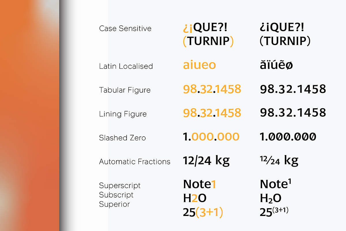Negara Serif + Variable Font, a Serif Font by Monoco Type Foundry | negara serif | Creative Market