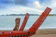 Traditional Maori boats, a Transportation Photo by Patricia Hofmeester