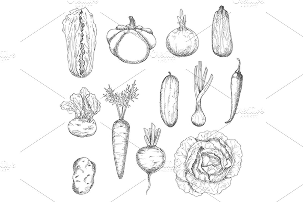 Outline vegetables sketches, a Background Graphic by Vector Tradition