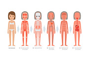 Woman Anatomy System and Structure of Human Body, an Education ...