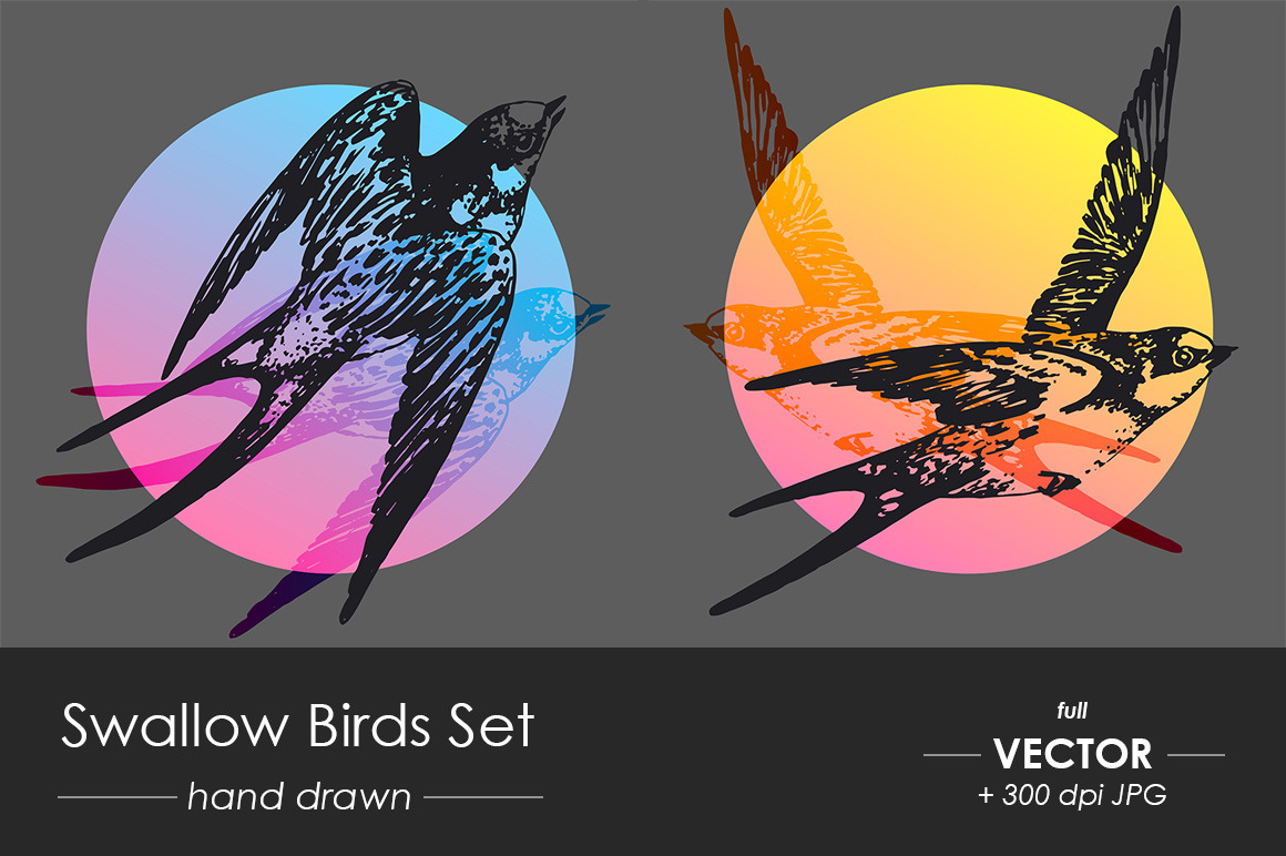 Swallow birds set of 2, design, an Animal Illustration by OKart.studio