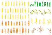 Wheat vector illustration., an Object Graphic by Riots Brush