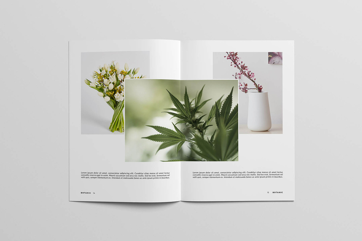 Botanic Magazine, a Magazine Template by New Lines