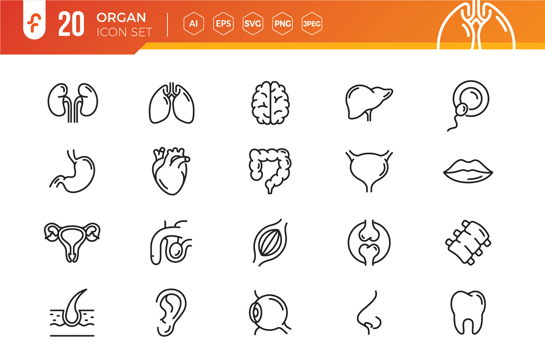Simple organs icon set, an Outline Icon by ft.studio