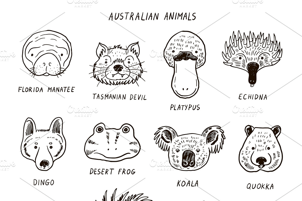 Australian Animals Funny Faces, an Animal Illustration by GooseFrol