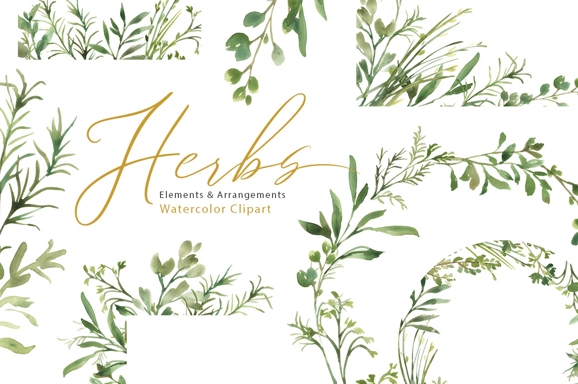Watercolor Greenery Herbs Leaves PNG, an Illustration by GraphicsDish