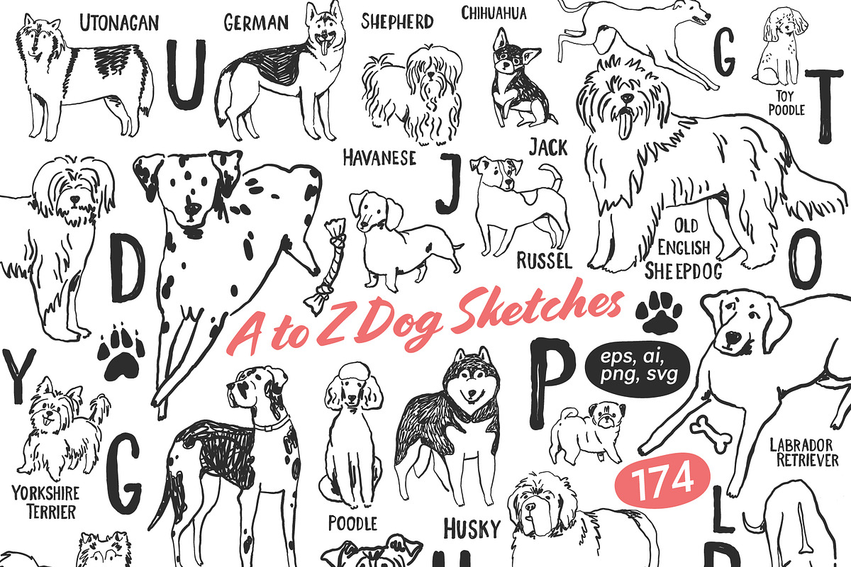 Whimsical Dog Alphabet, an Animal Illustration by Anastasiya Klempach