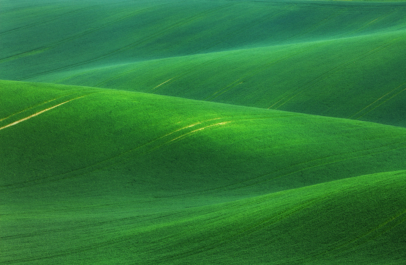 Landscape with green fields featuring landscape, field, and meadow, a ...