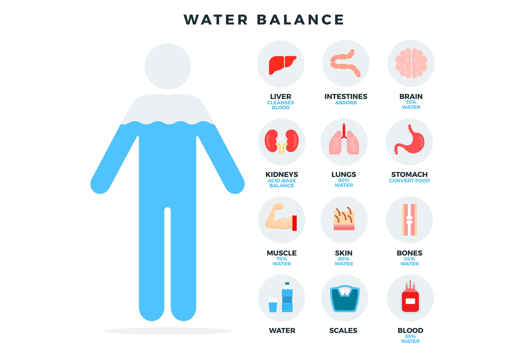 Human water balance, icons set for, a Food Illustration by Mountain ...