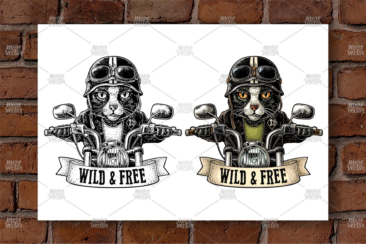 Cat biker motorcycle engraving, an Animal Illustration by MoreVector